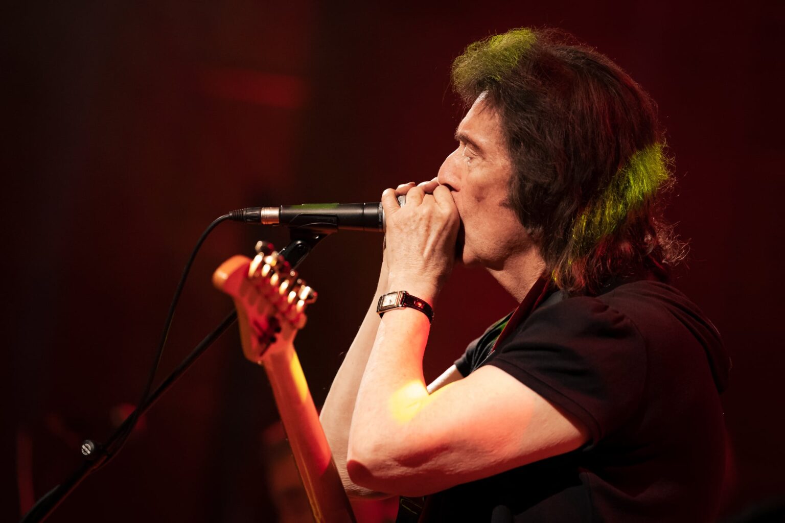 Fjordok, Szardínia, Győr – Djabe & Steve Hackett - Rockinform Magazin